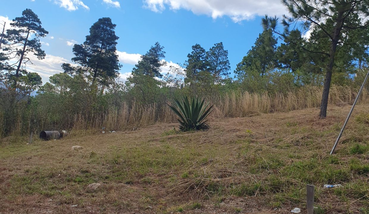 Hermoso Terreno en Res. Villa Campestre, Tatumbla F.M. – GeoHome